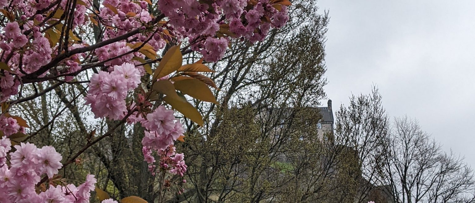 Spring 2023 in Edinburgh: 5 activities to add to your itinerary