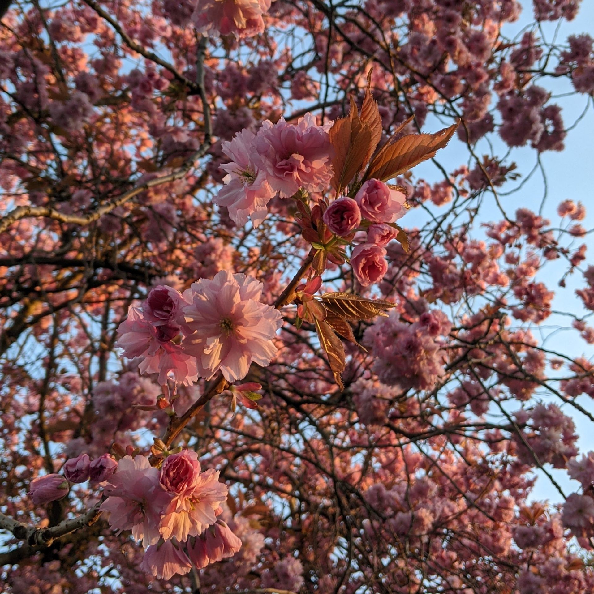 Spring 2023 in Edinburgh: 5 activities to add to your itinerary